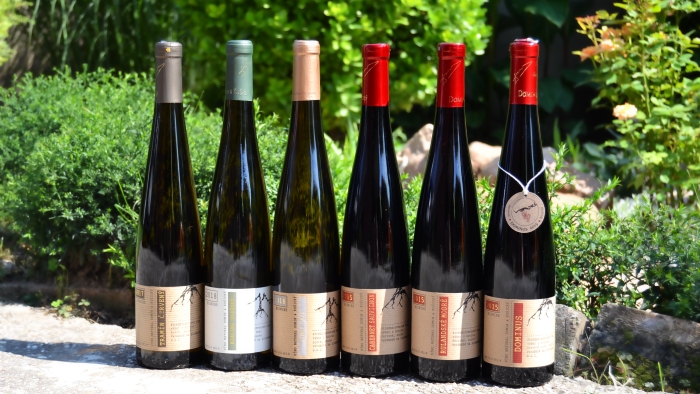 Bezhistamínové, vegan či bio víno – čo by ste mali o nich vedieť ...